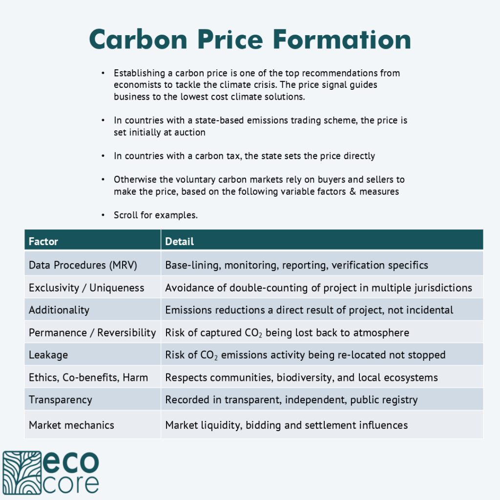 Strong Carbon Pricing - Ecocore