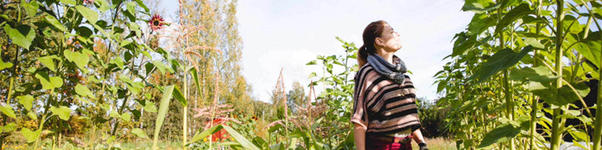 Lahti, Finland - Carbon Rationing in Action - Ecocore